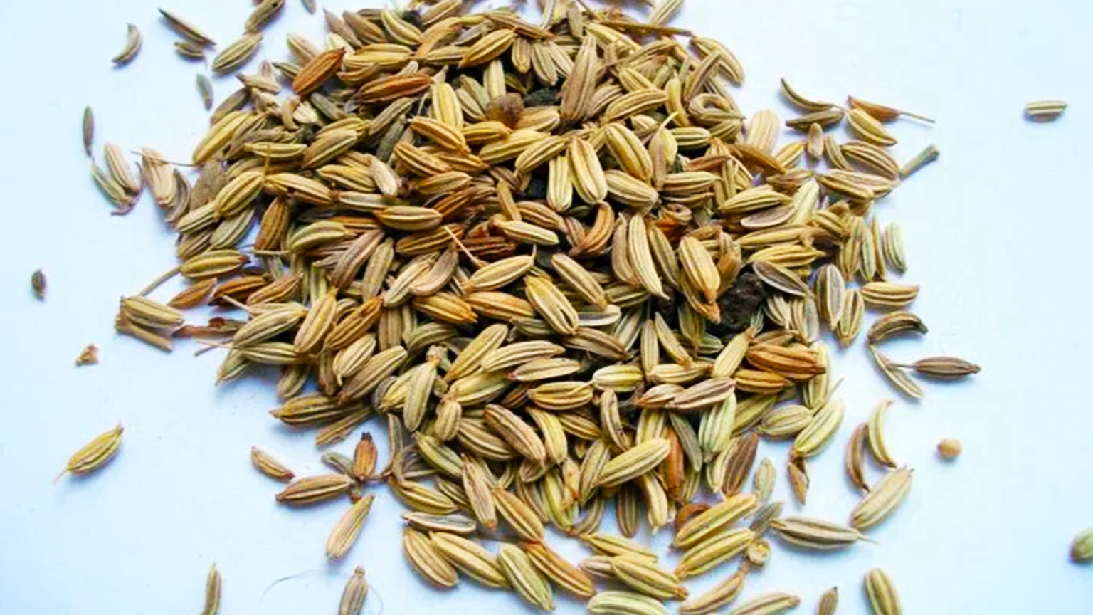 Erva-Doce: O Calmante Natural para Digestão e Ansiedade - Solaria ...