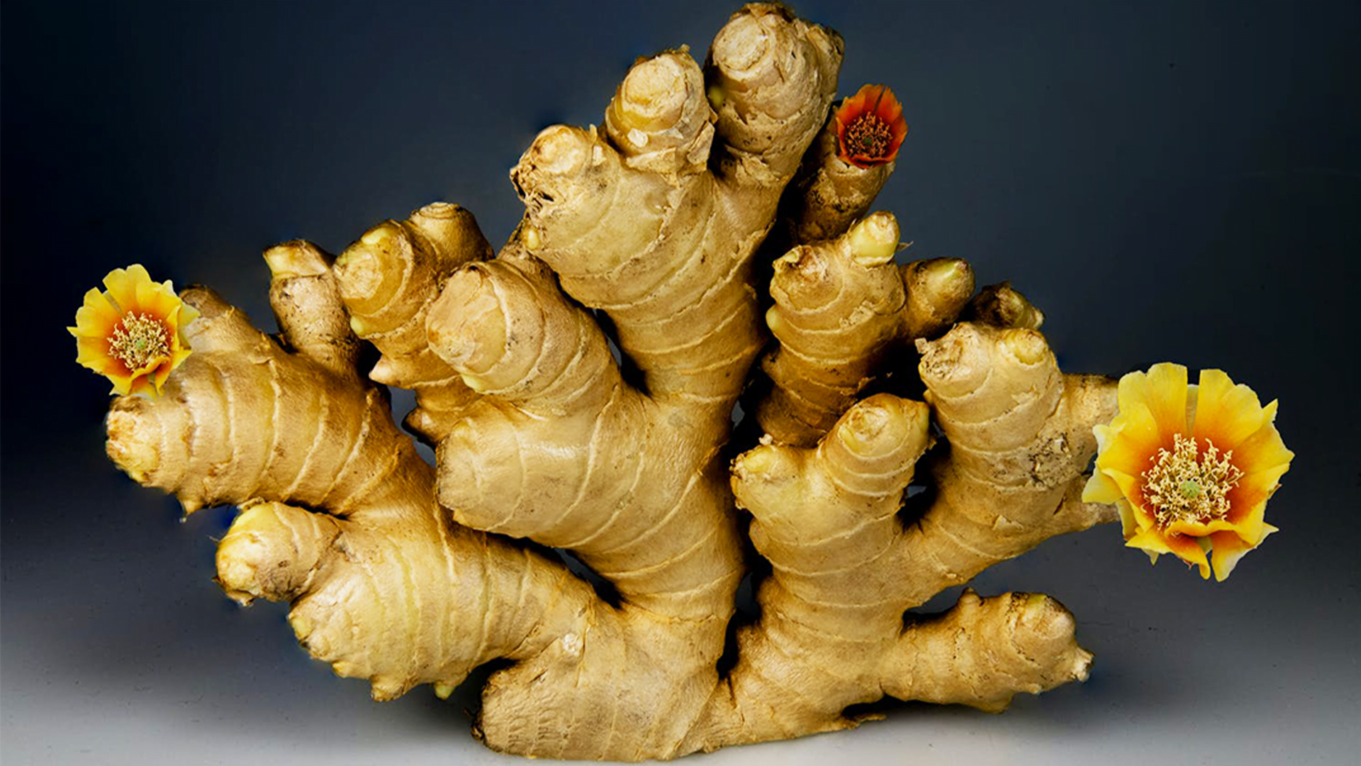 Gengibre: O Poderoso Aliado Contra Inflamações e Problemas Digestivos ...